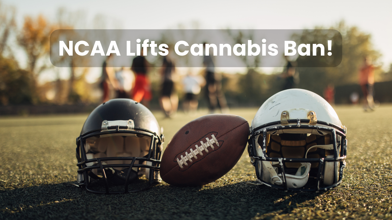 NCAA Cannabis Ban Removed: A New Era for Student-Athletes - Infused ...
